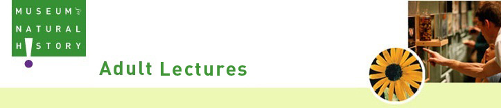 Harvard Museums of Science and Culture - Harvard Museum of the Ancient ...
